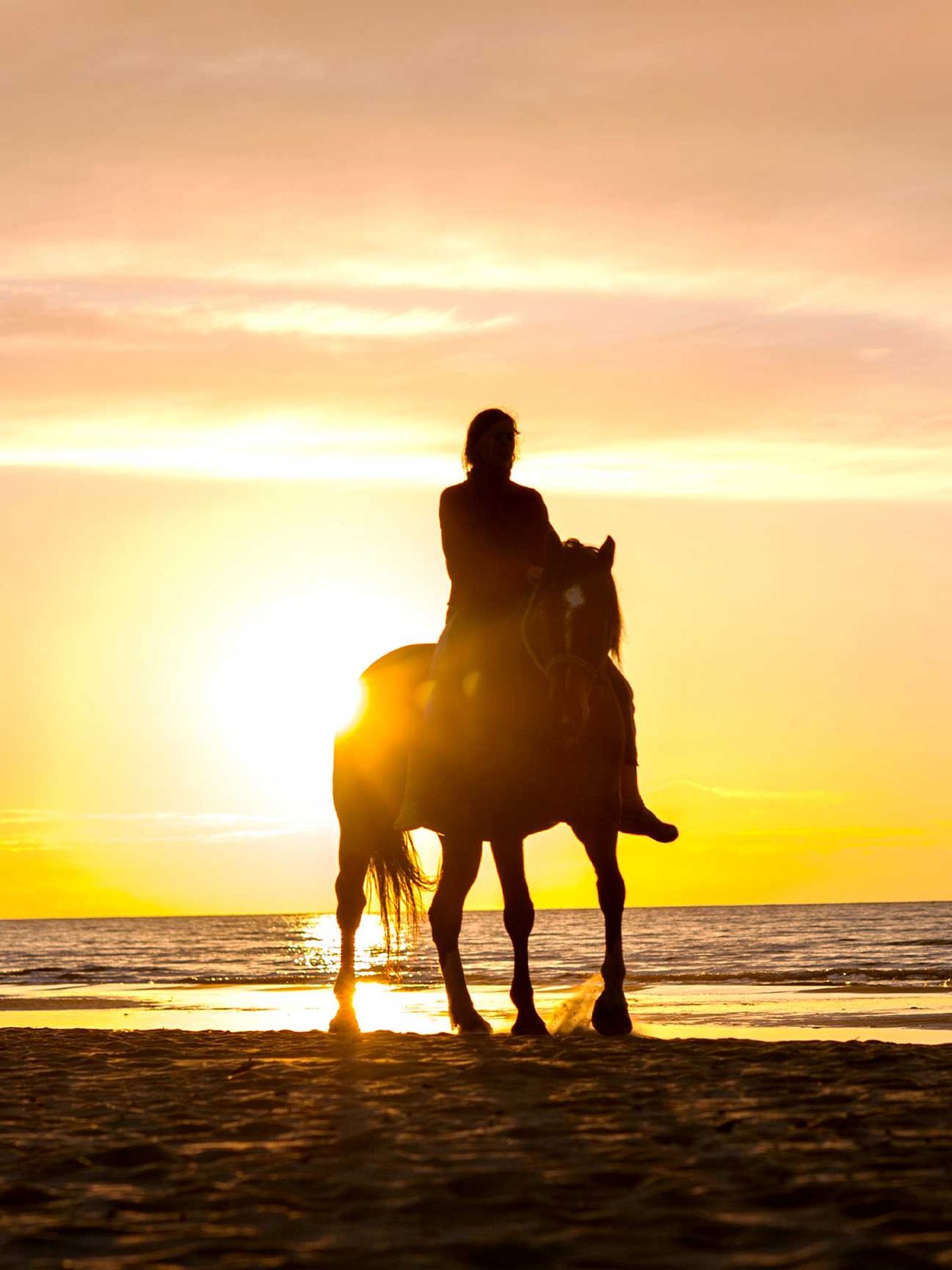 Experience a Horseback Ride | Baglioni Resort® Sardinia